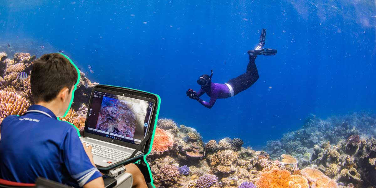 How You Can Help Protect the Great Barrier Reef from Home