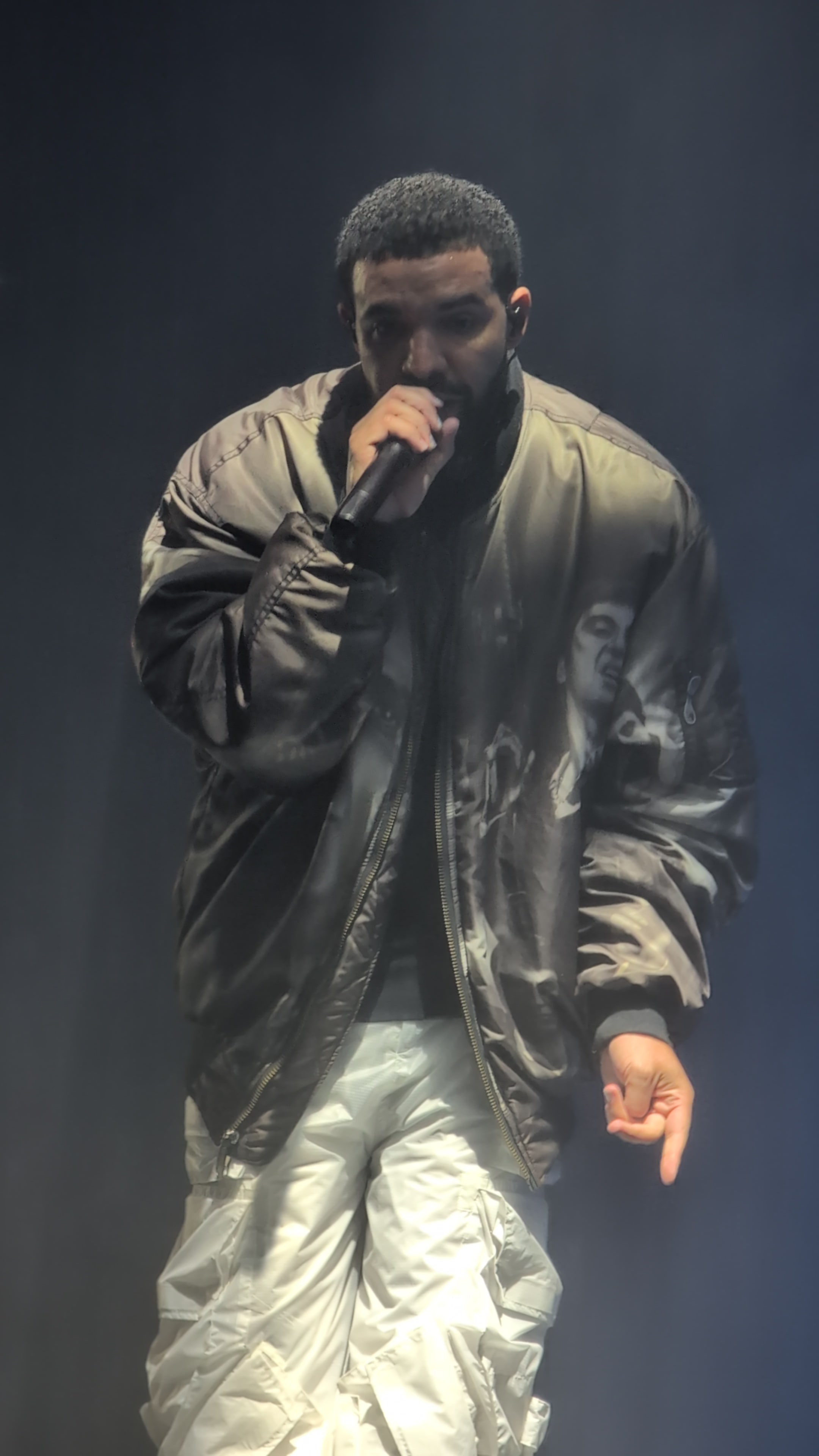 We Asked a Fan: ‘One Dance’ With Drake Just Wasn’t Enough