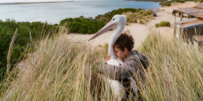 Movie Review: "Storm Boy" is For the Birds · Student Edge News
