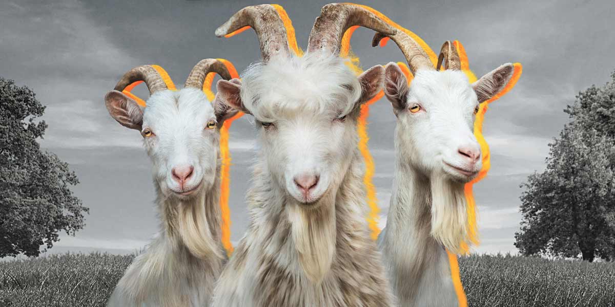 Wrap-Up Fridays: Poker, Goats and Christmas