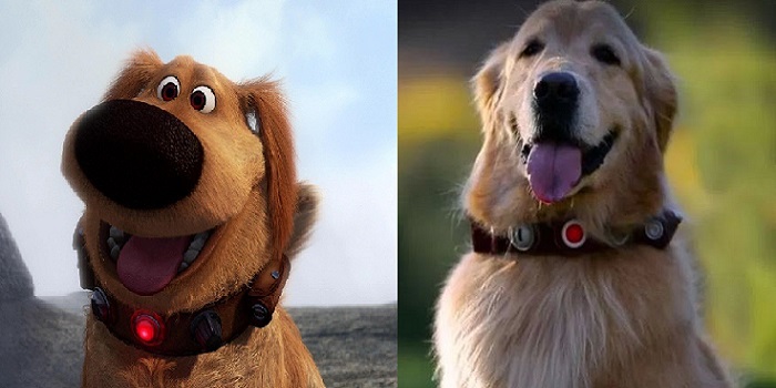Hold The Phone: There's A Real Life Version Of Dug (The Dog In Disney's ...