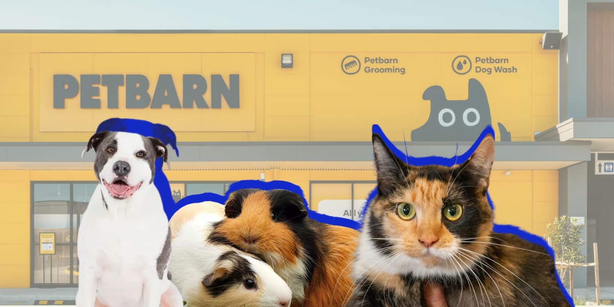 How to Apply for a Casual Job at Petbarn