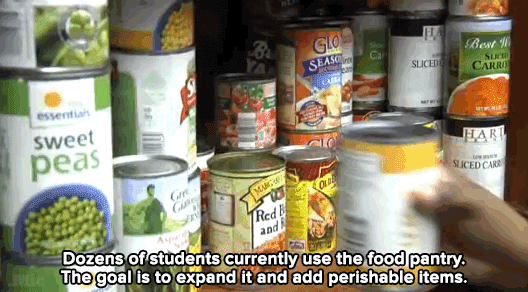 How to Get Free Food in Australia · Student Edge News