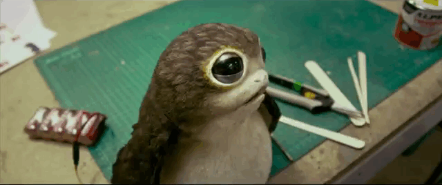 Here's the Real Reason Those Adorable Porgs Exist in "Star Wars: The ...
