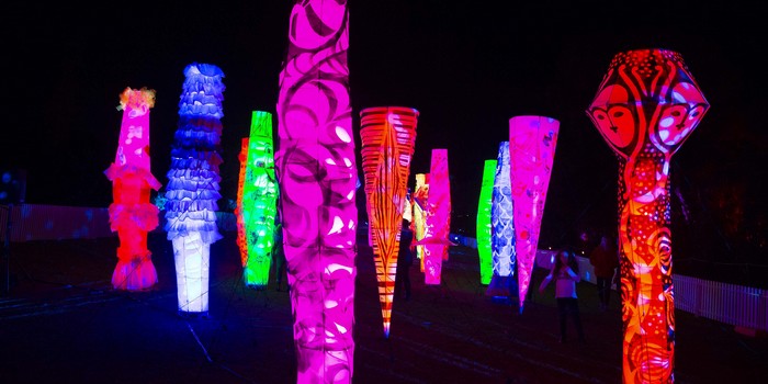 From TAFE to Vivid: A TAFE Student Explains How Her Class Work Made It ...