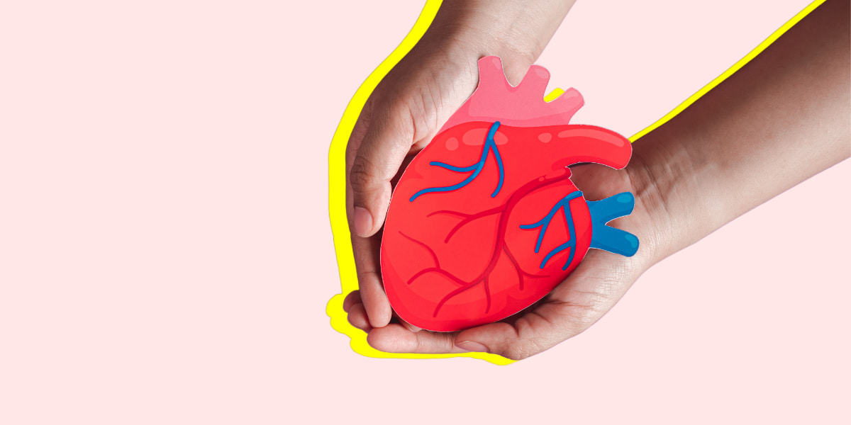 Everything You Wanted to Know About Organ Donation (But Didn’t Have the ...