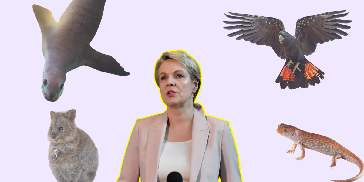 Australia Has Committed To Zero Extinctions