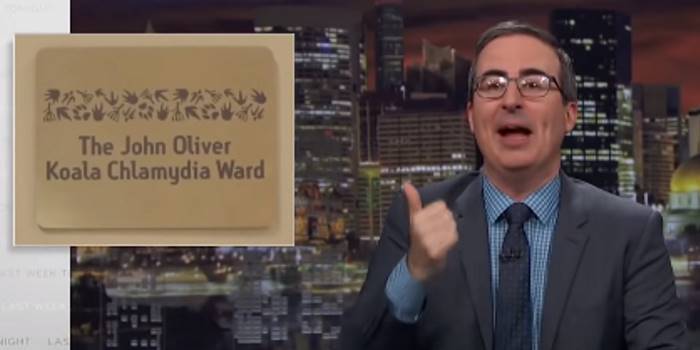 Russell Crowe Has Named a "Koala Chlamydia Ward" In Honour of John ...