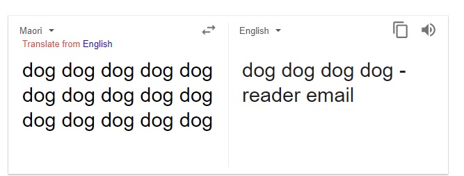 Google Translate Predicts the Apocalypse When You Write "Dog" 18 Times ...