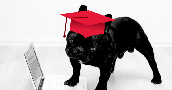 Win 1 of 3 $100 Dymocks Books vouchers · Free Online Competitions ...