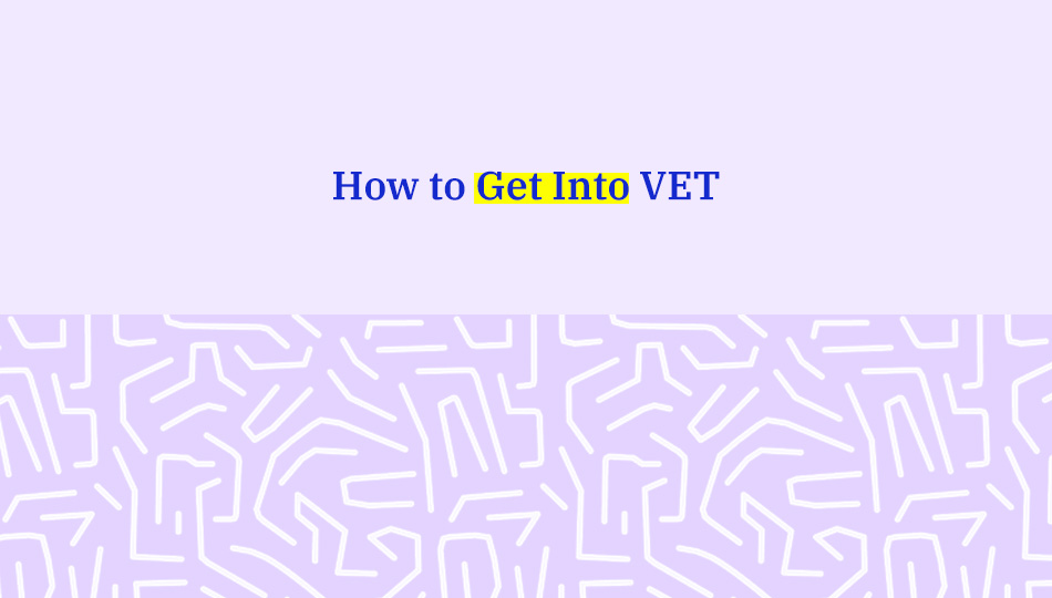 how-to-get-into-vet-ready-set-vet-student-edge-learning